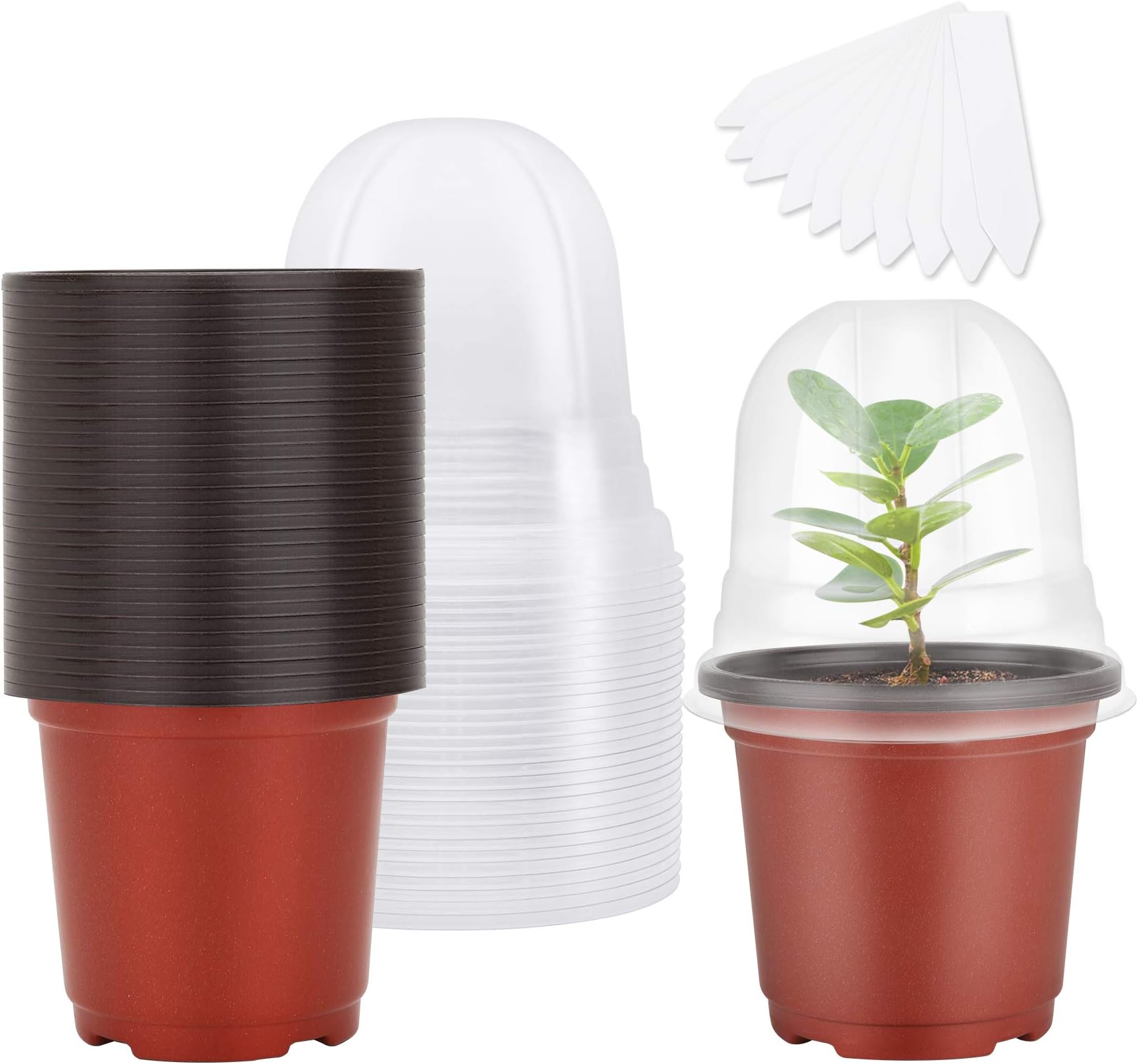 Amazon.com: 50 Sets Seed Starter Peat Pots with Humidity Dome Round ...