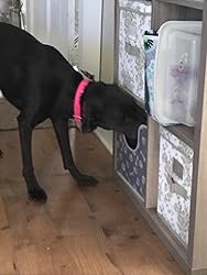 Amazon.com: Top Paw Folding Pet Storage Box : Pet Supplies