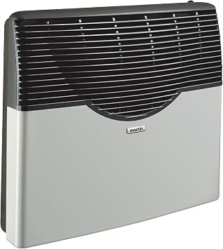 MARTIN Direct Vent Propane Wall Heater with Room Thermostat, 20,000 Btu ...
