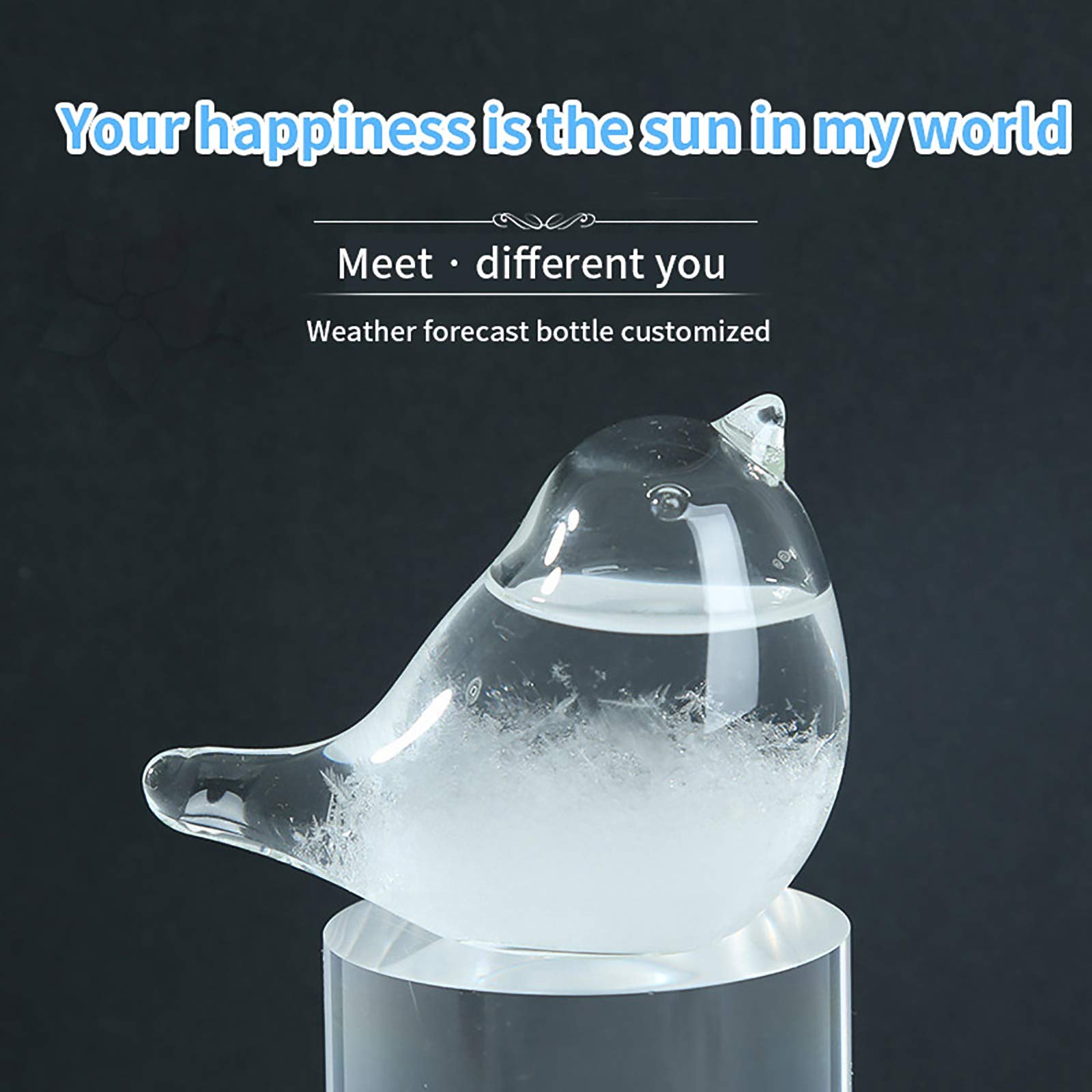 Barometer With Water