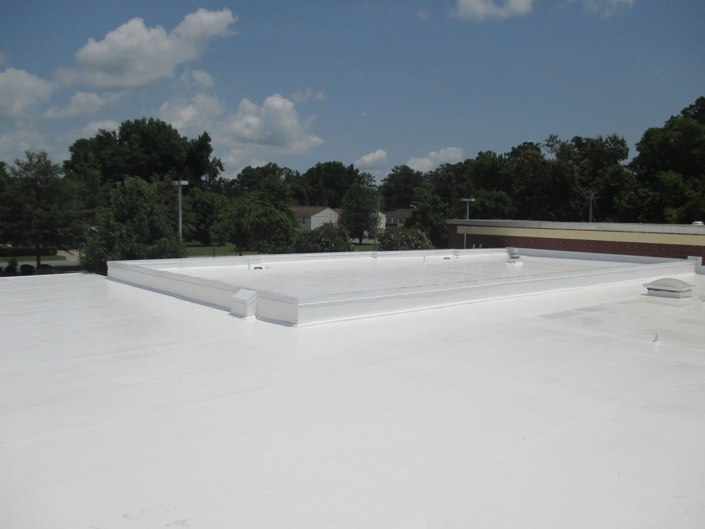Liquid Rubber 100% Silicone Roof Sealant - Self Leveling - Complete ...