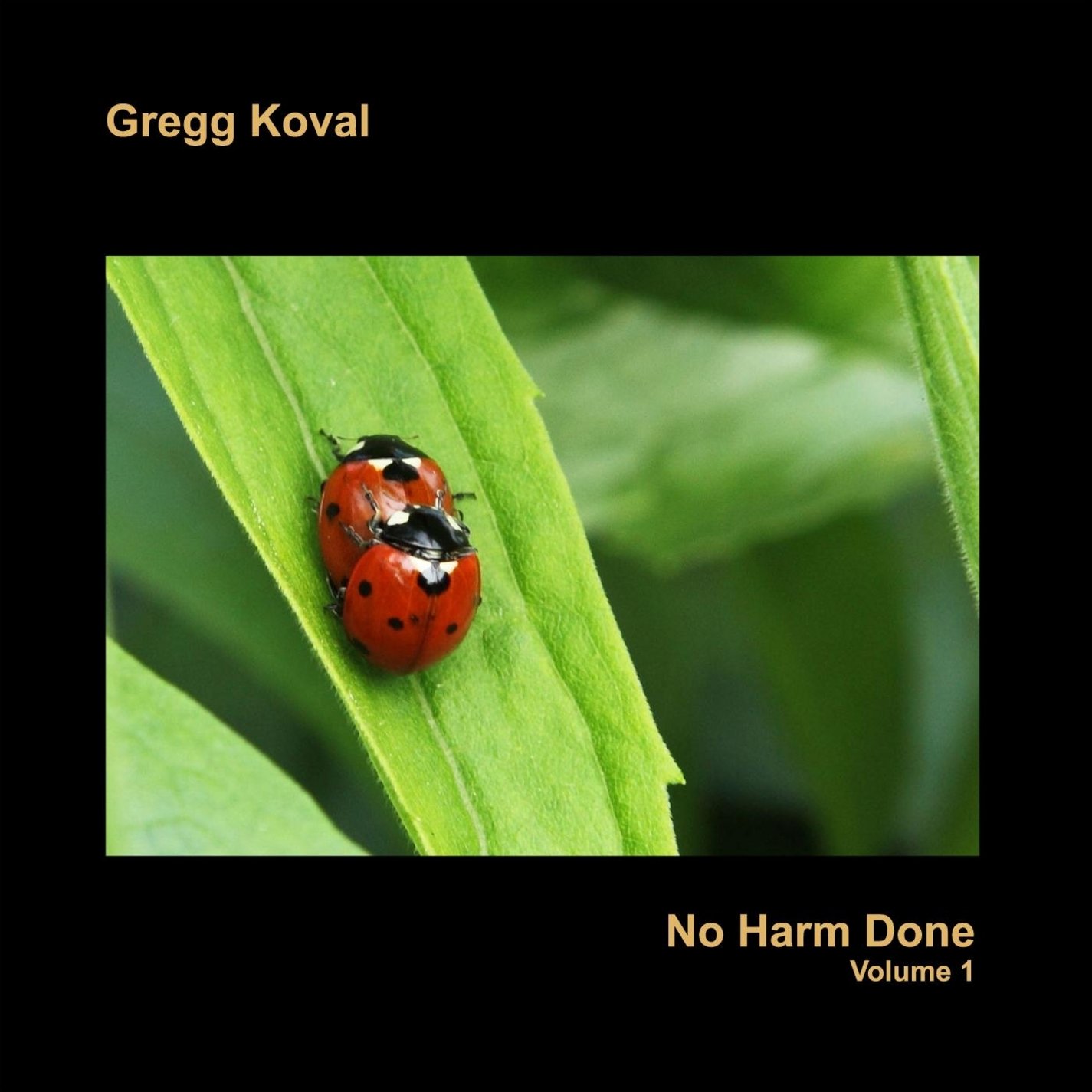 Buy No Harm Done 1 Online At Low Prices In India Amazon Music Store buy-no-harm-done-1-online-at-low-prices-in-india-amazon-music-store