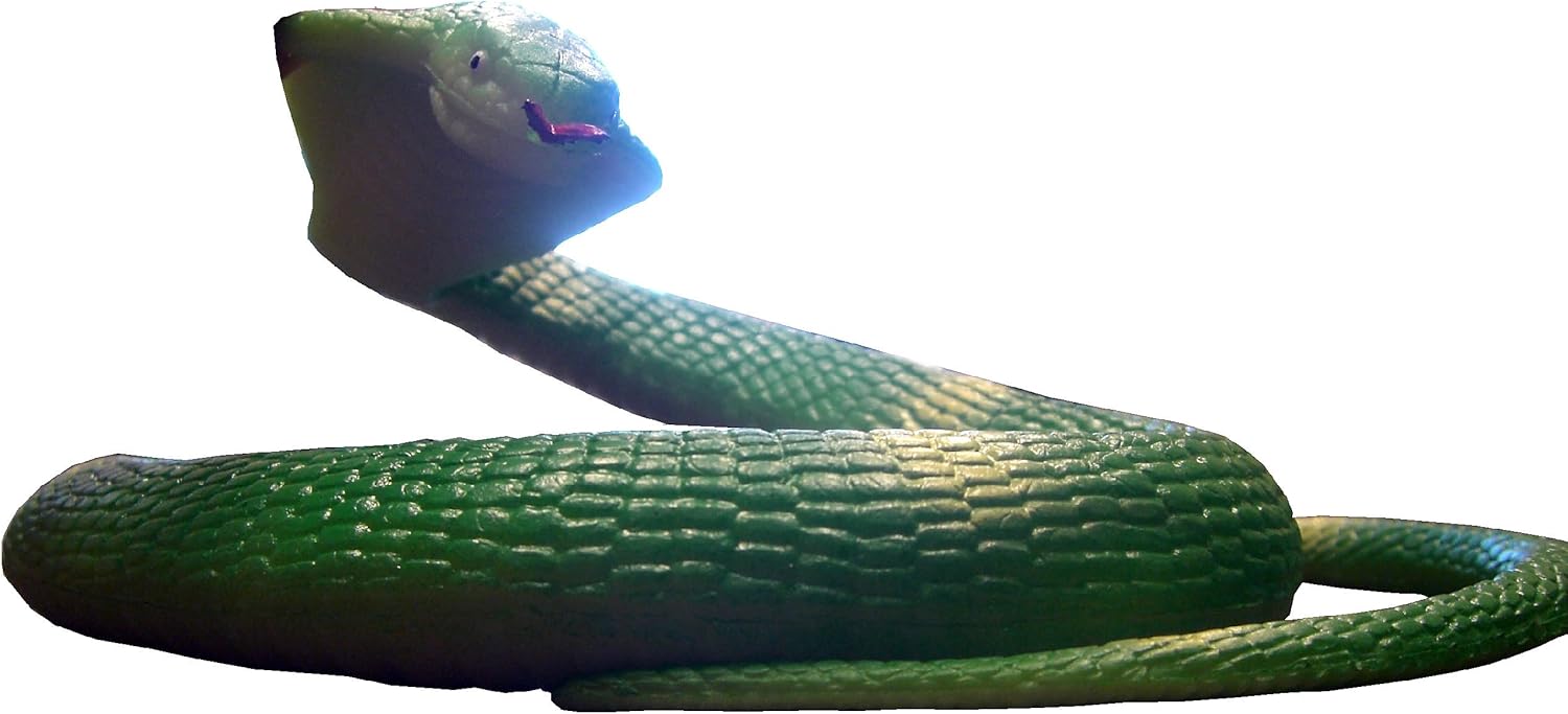 Amazon.com: Cobra Snake Prop : Toys & Games