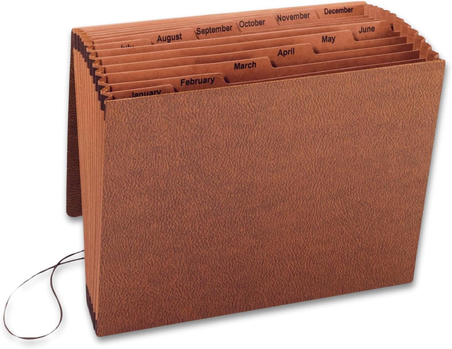 Amazon.com : 1InTheOffice Accordion File Organizer, Expandable File ...