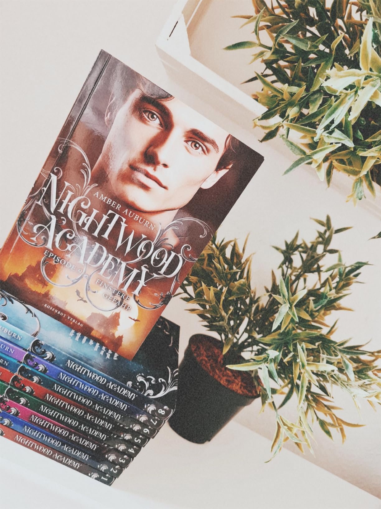 Nightwood Academy, Episode 9 - Finstere Gefahr: Romantasy-Serie eBook ...