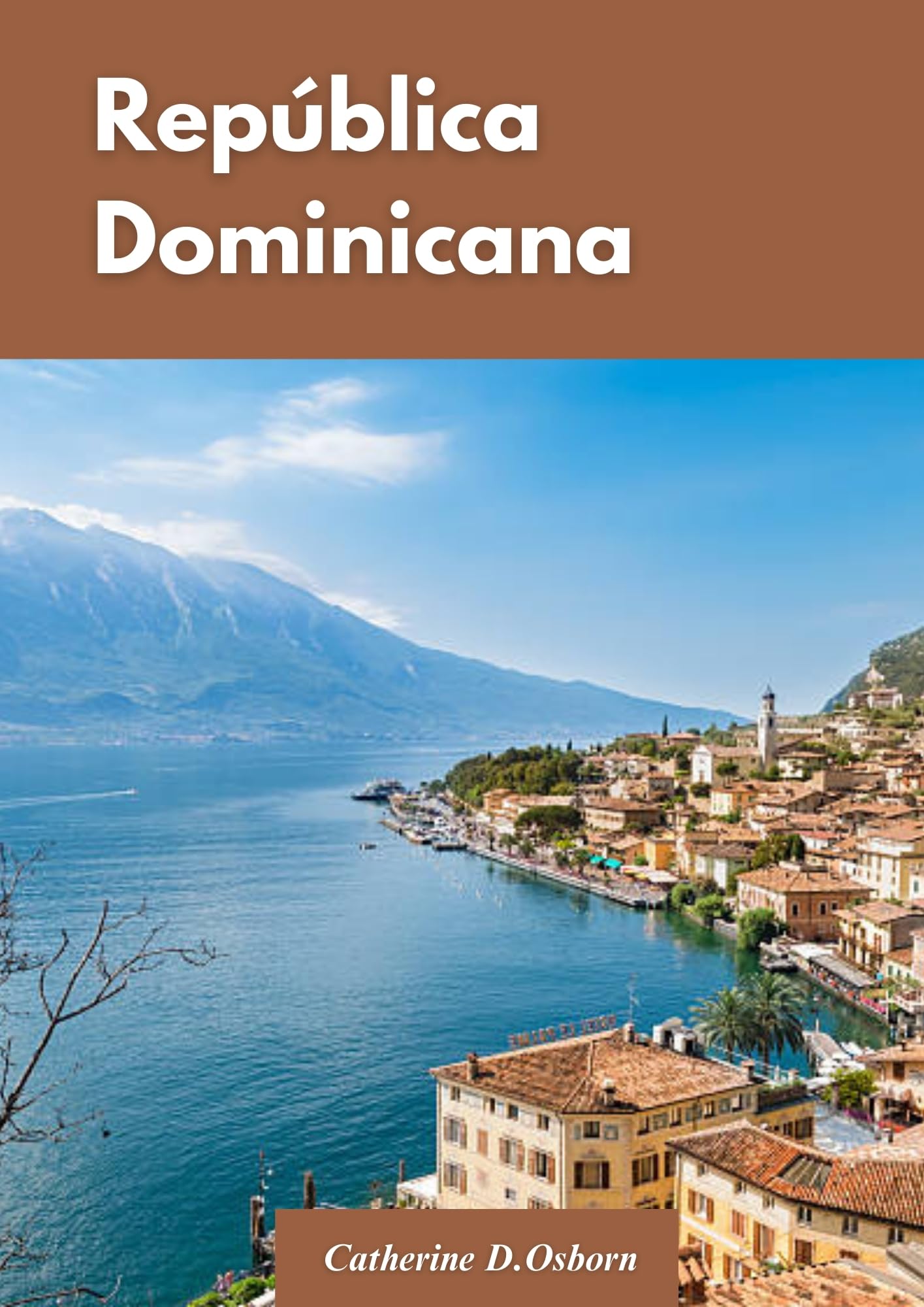 Buy GUÍA DE VIAJE DE REPÚBLICA DOMINICANA 2024: "Su guía completa de ...