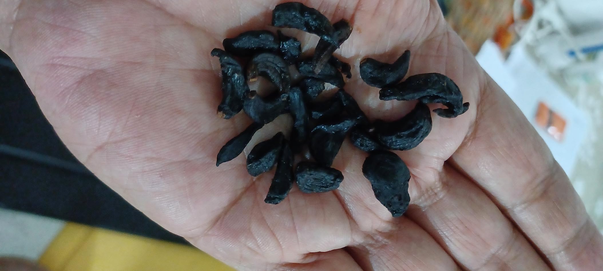 SINISTER Black Garlic - Peeled Cloves, Ready to Eat, Highly Nutritious ...