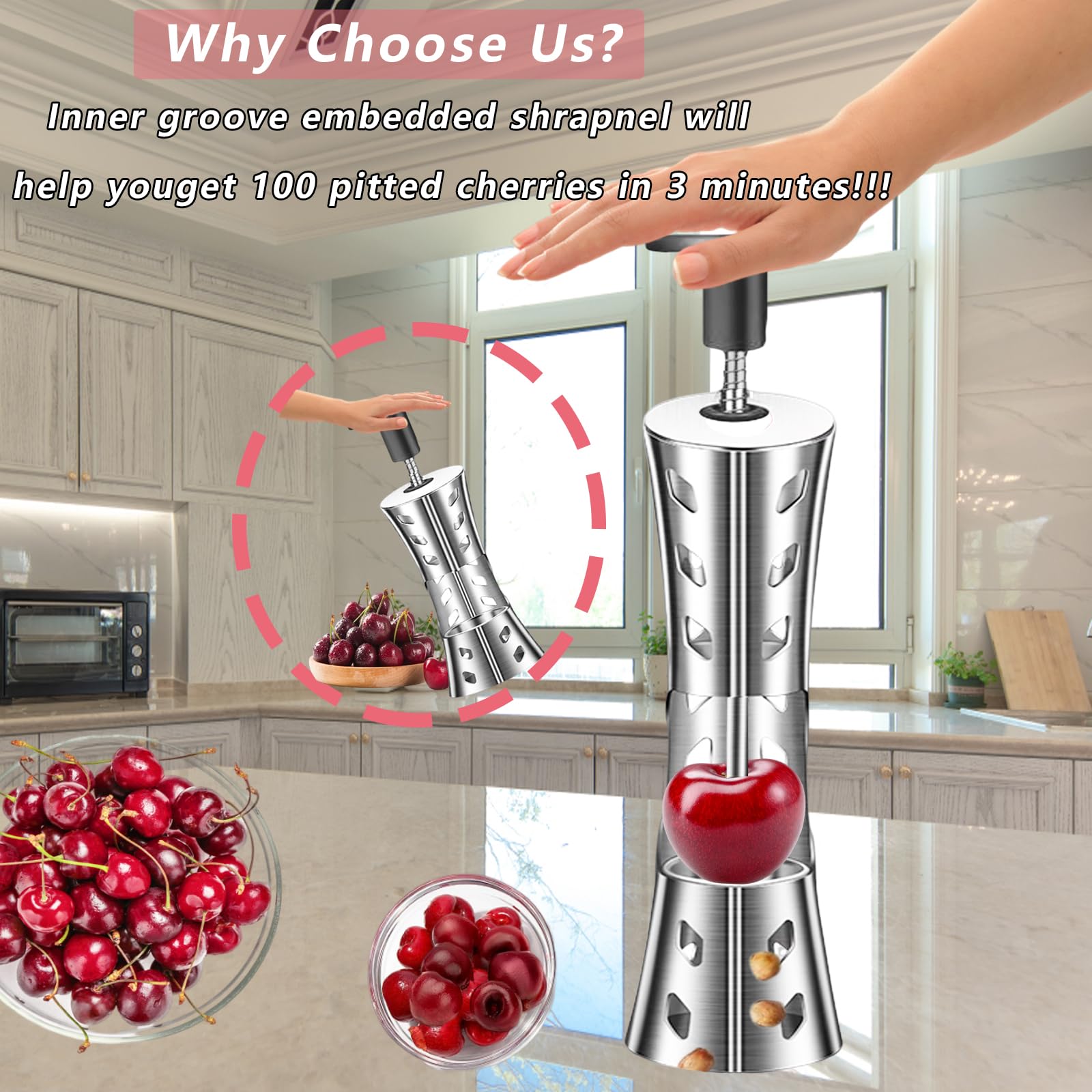 Snapklik.com : Cherry Pitter Tool - 304 Stainless Steel Pitting Tool ...