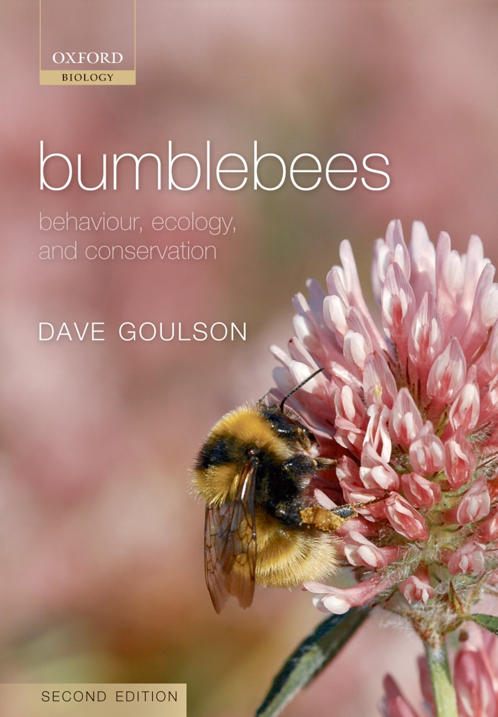 Amazon.com: Bumblebees: Behaviour, Ecology, and Conservation ...