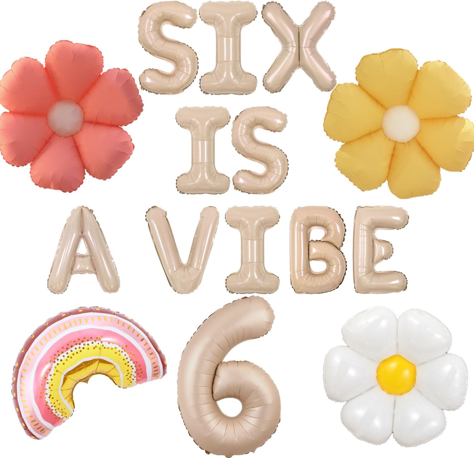 Amazon.com: Wonmelody Six Is A Vibe Birthday Party Decorations Balloon ...