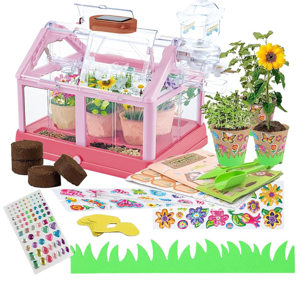 Amazon.com: GrandSail Kids Plant Growing Kit: Terrarium Kit for Kids ...