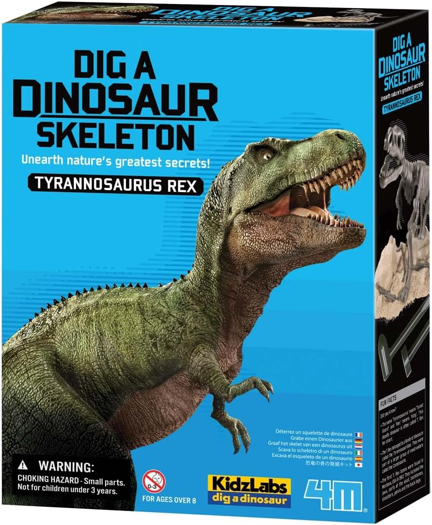 Amazon.com: Dig a Dinosaur Skeleton: T-Rex Kit : Toys & Games