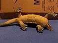 Amazon.com: CollectA Edaphosaurus : Toys & Games