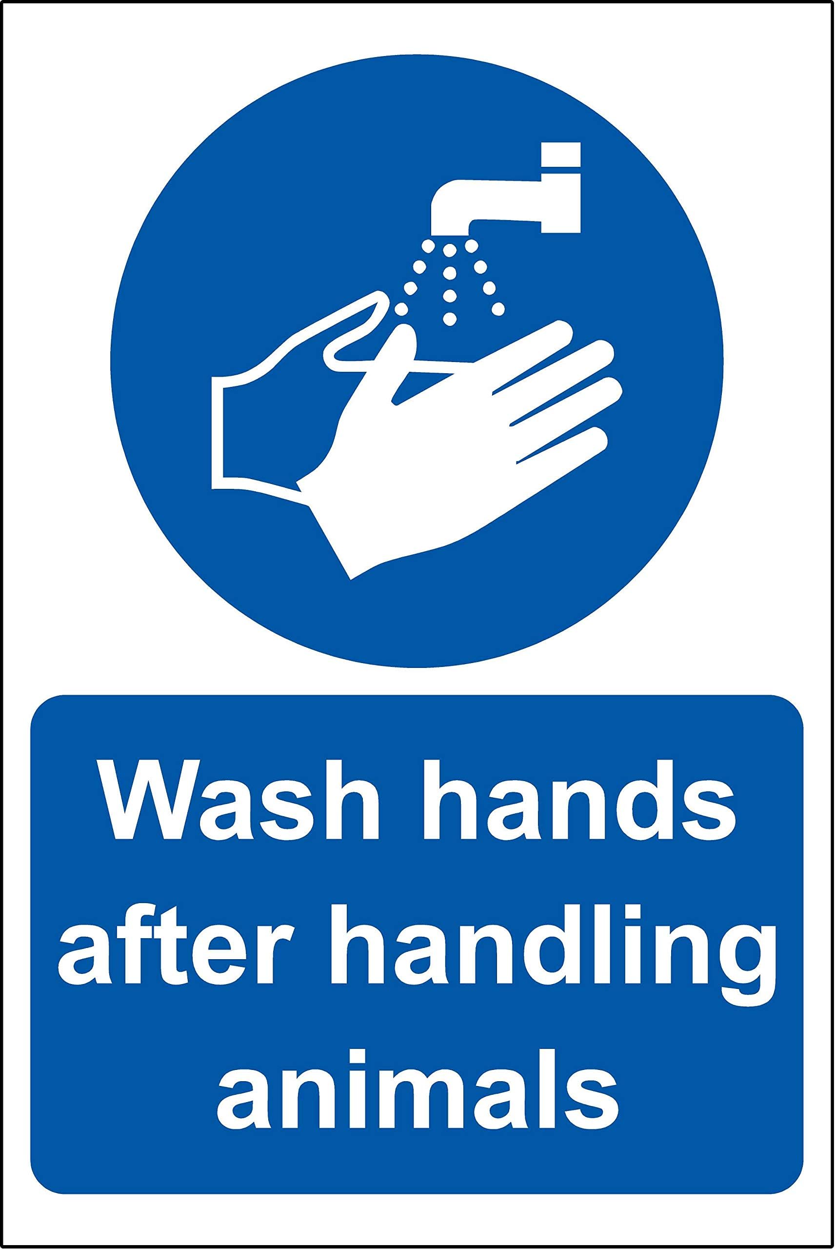 Wash hands after handling animals safety sign - 1.2mm Rigid plastic ...