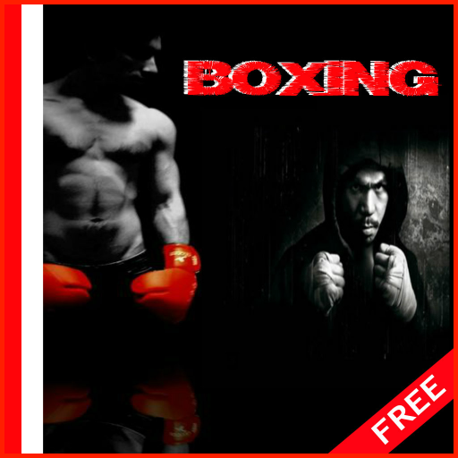 Boxing Showdown:Amazon.com:Appstore for Android