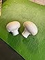 Amazon.com: White Button Mushroom Growing Kit ~ Makes it Easy to Grow ...
