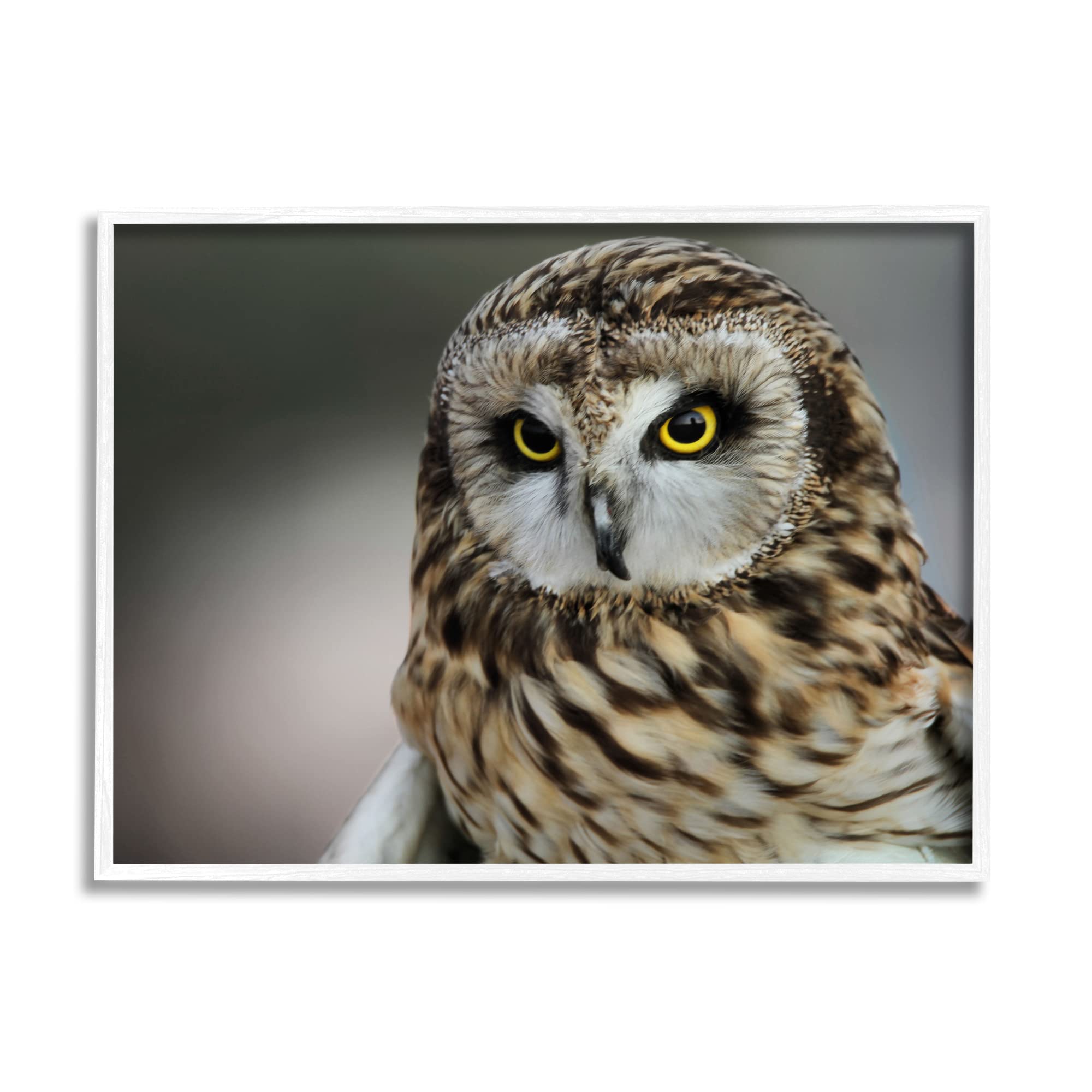 Boca Photography Up Close