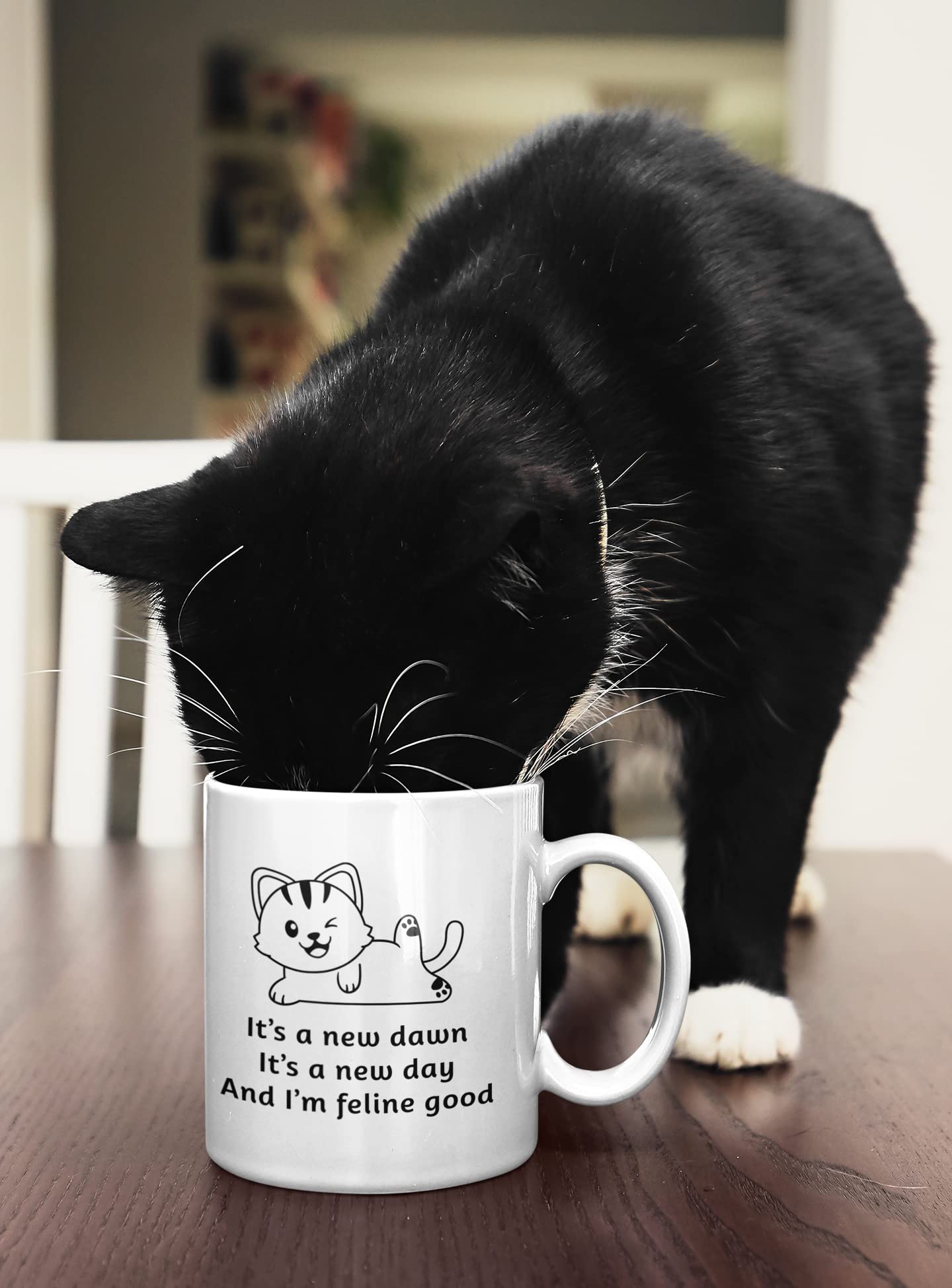 Imagenes De Gatitos