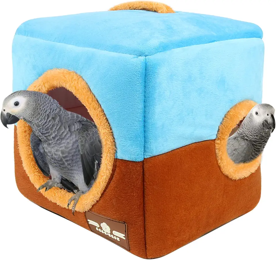 Creating An Ideal Nest Box For Macaws: A Step-By-Step Guide | PetShun