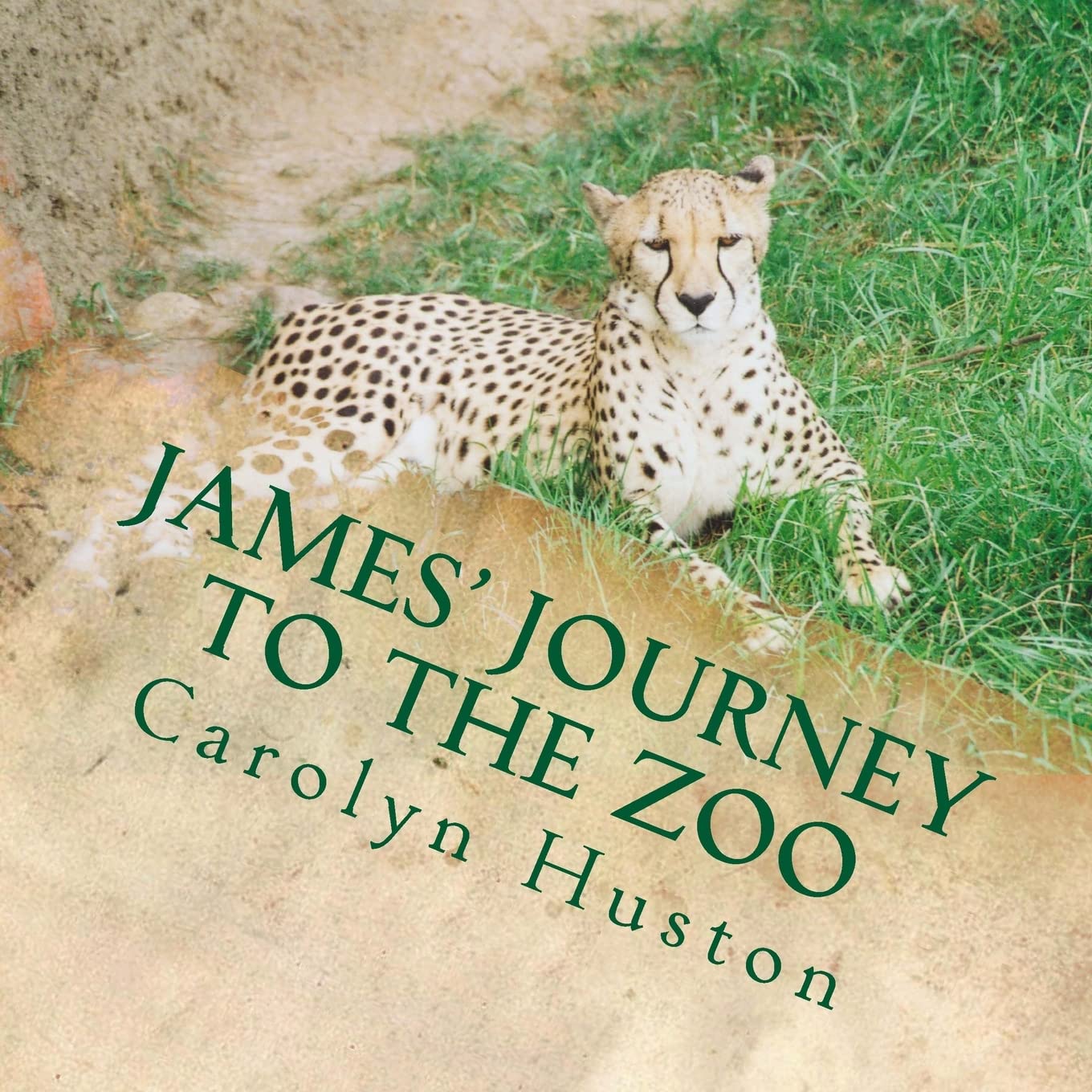 James' Journey to the Zoo (James Autism series): Huston, Carolyn L ...