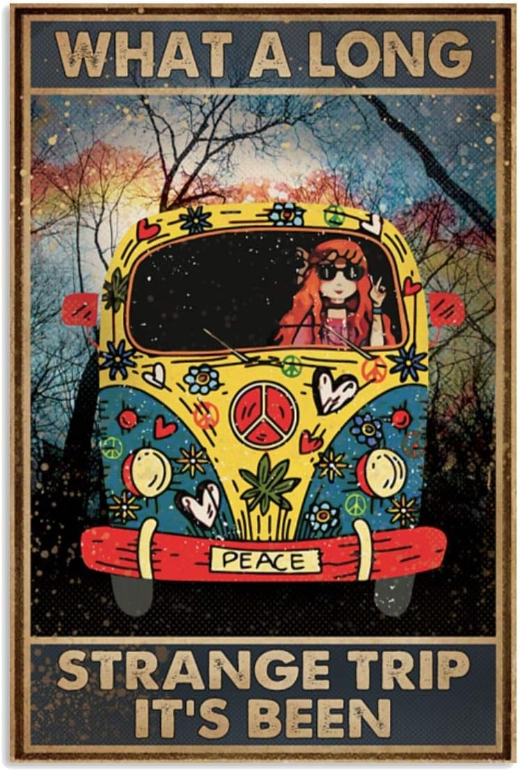 NGFD – Rompecabezas de 1000 piezas What A Long Strange Trip It’s Been ...