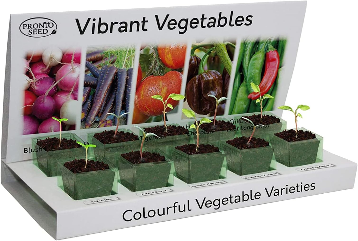Psychedelic Salad Kit by Plant Theatre – 5 Fantastic Salad Vegetables ...