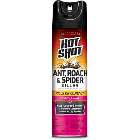 Amazon.com: Raid Ant & Roach Killer Spray For Listed Bugs, Keeps ...