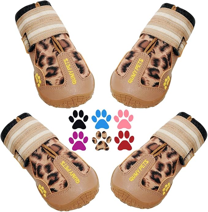 The Best Dog Booties for Summer - A-Z Animals