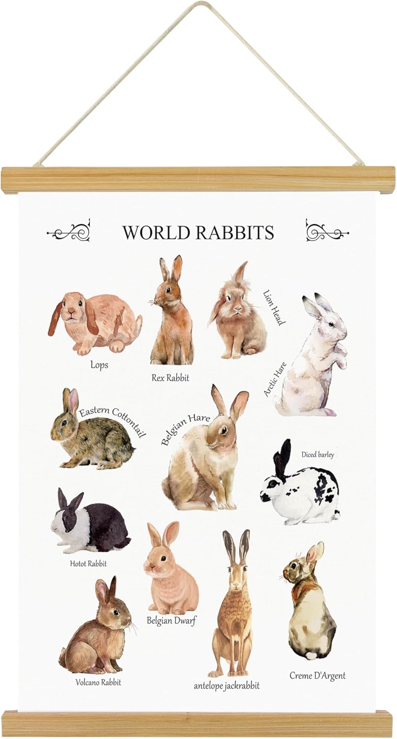 Amazon.com: XIAOAIKA World Rabbits Wall Art Educational Poster with ...