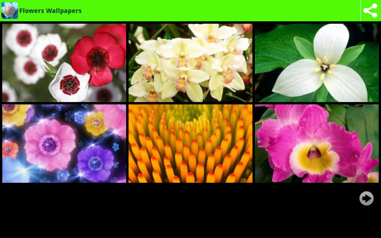 Aplicación Flowers Wallpapers en Amazon Appstore