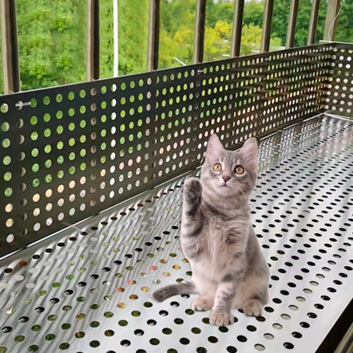 Amazon.com : VIZET 3.3/10/13/23/30/36/50 Ft Long Cat/Chicken Wire ...