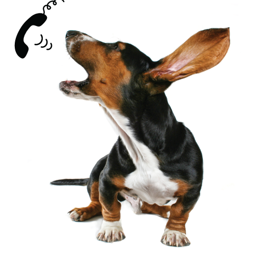 Come Here Doggy Sounds - App on Amazon Appstore