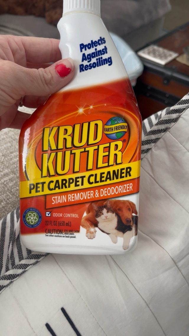 Watch PET mess Clean Up on Amazon Live