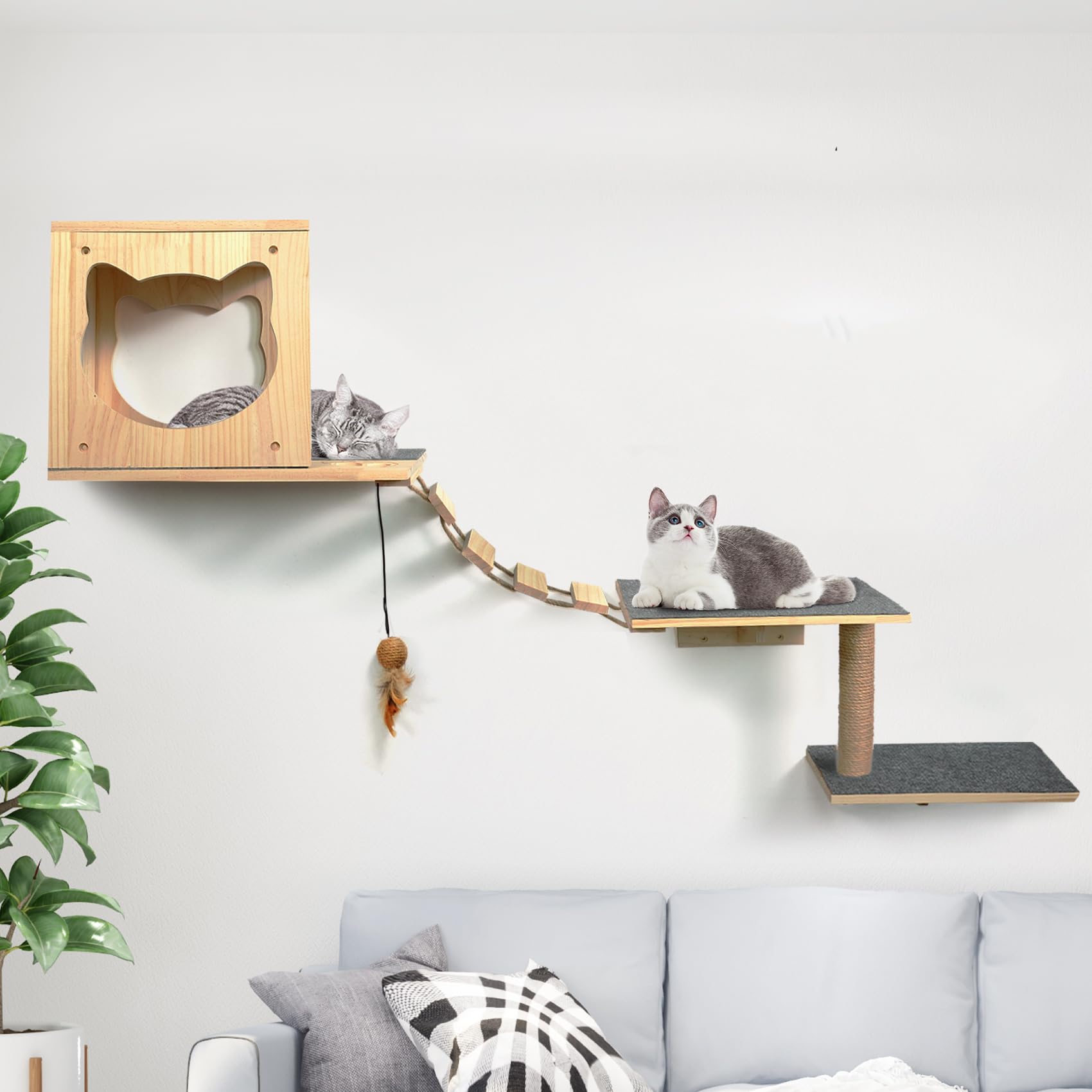 Amazon.com: Wooden Cat Wall Shelves, Set of 5 Cat Wall Furniture, Cat ...