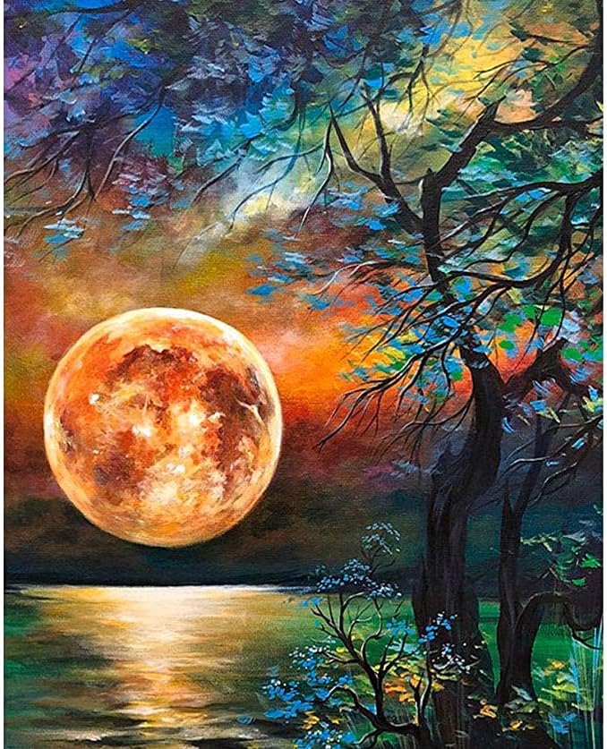 Fokenzary DIY Paint by Numbers Painting Canvas for Kids or Adults ...
