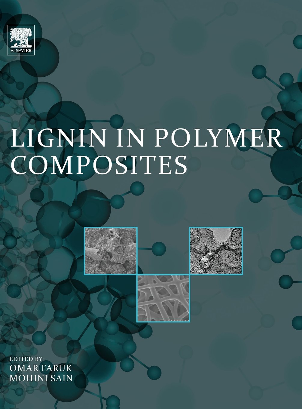 Lignin in Polymer Composites: Faruk, Omar, Sain, Mohini: 9780323355650 ...