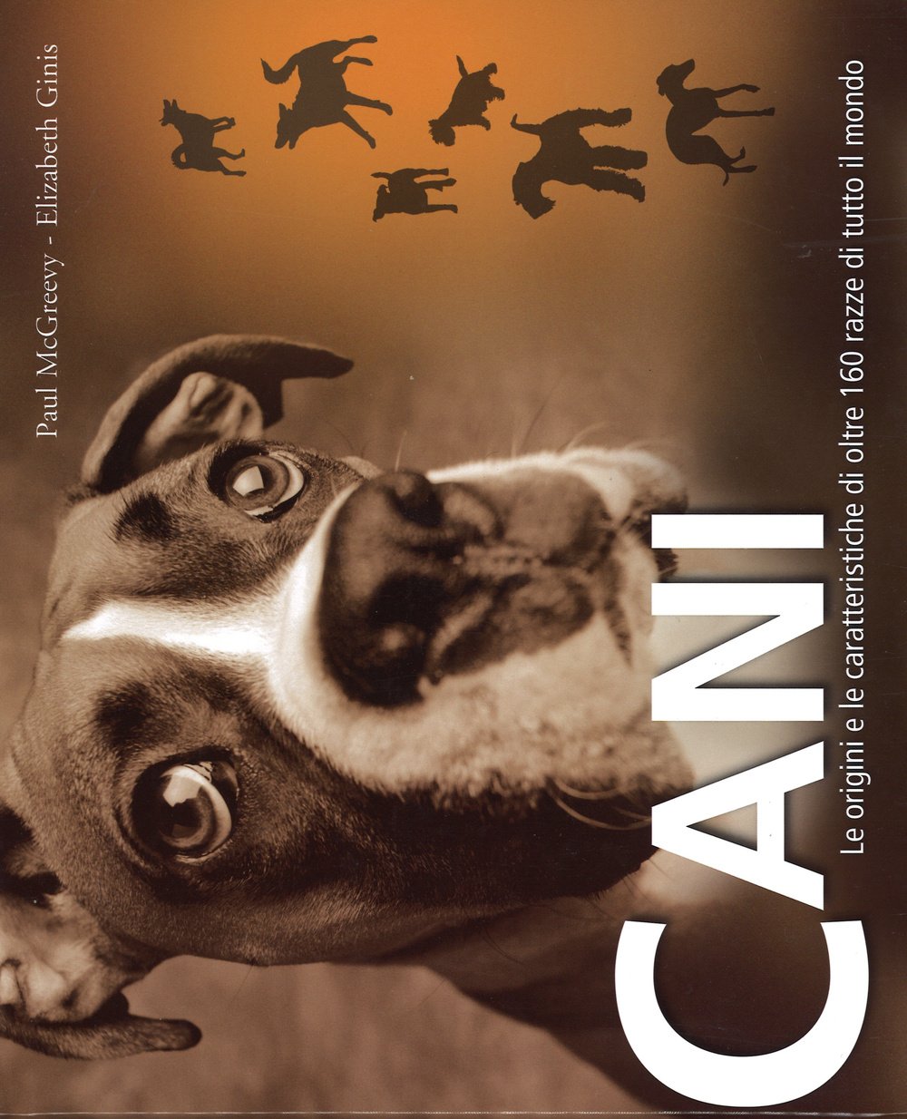 Cani. Le origini e le caratteristiche di oltre 160 razze di tutto il ...