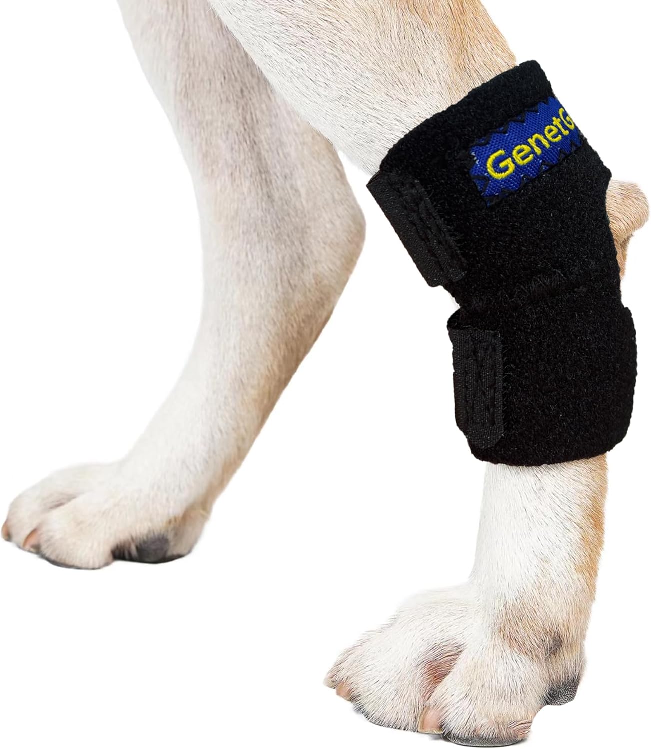 Amazon.com : GenetGo Dog Canine Rear Leg Hock Joint Brace Compression ...