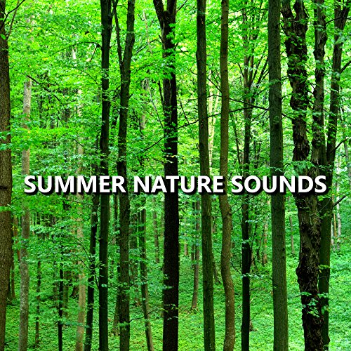 Summer Nature Sounds by Nature Sounds on Amazon Music - Amazon.co.uk