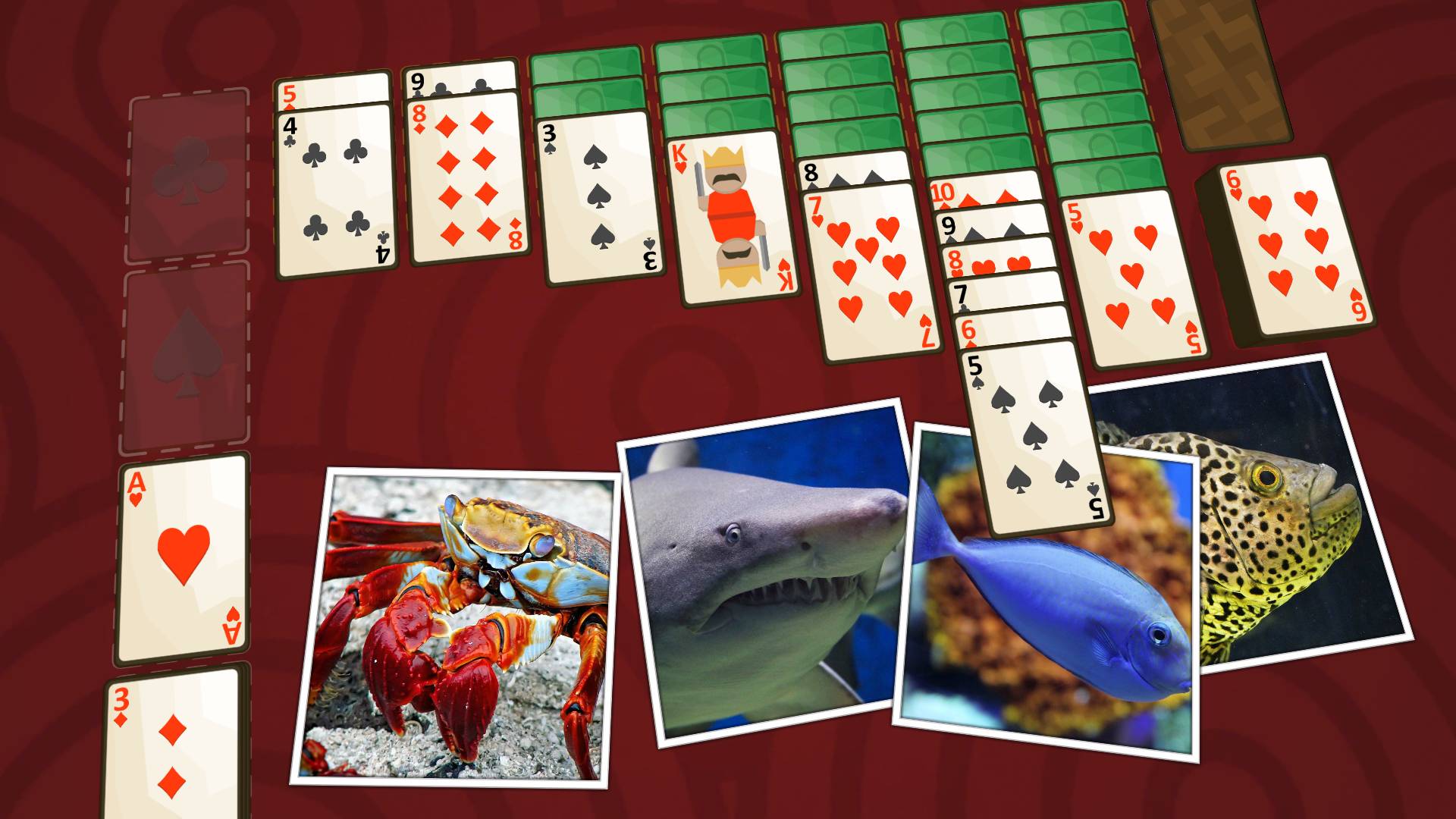 Solitaire Marine Life TV - App on Amazon Appstore