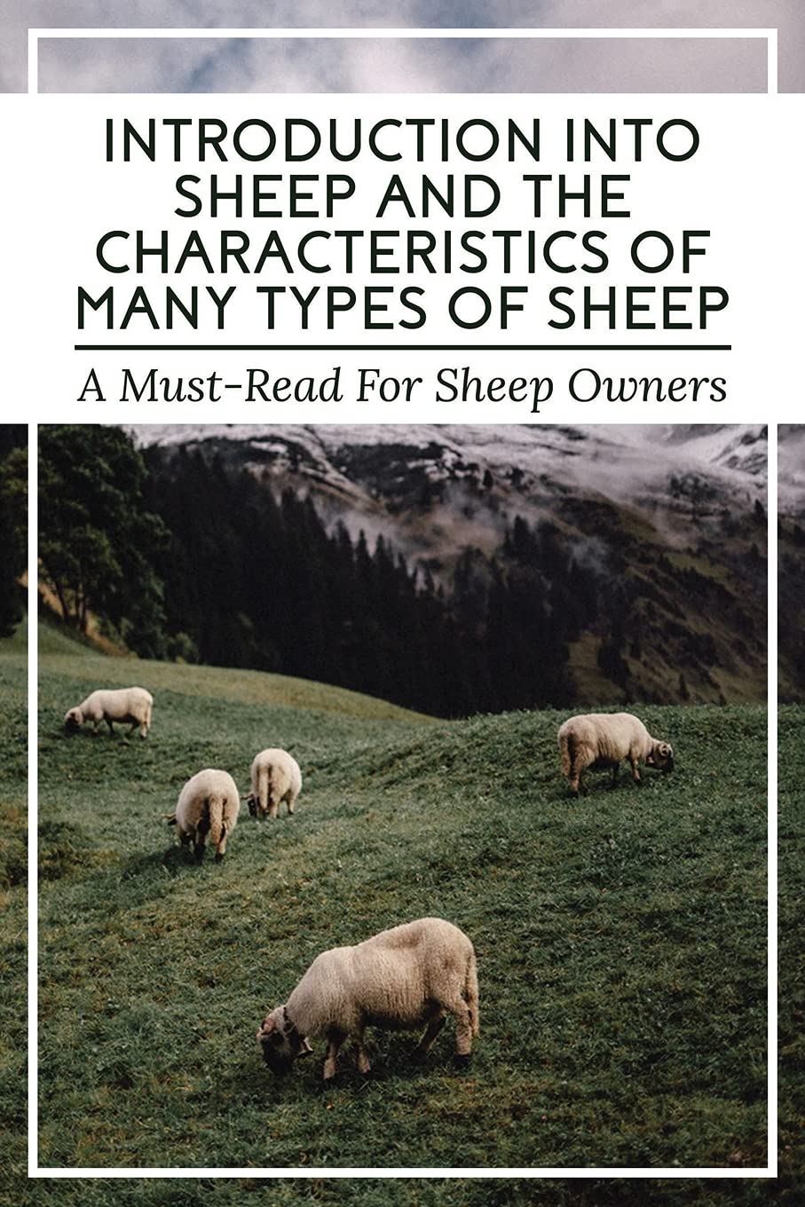 Buy Introduction Into Sheep And The Characteristics Of Many Types Of ...