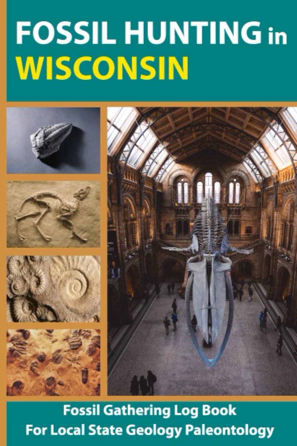 Fossil Hunting in Wisconsin: Fossil Hunting And Gathering In Wisconsin ...