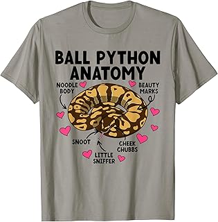 The Many Types Of Ball Python: A Guide To The Different Varieties | PetShun