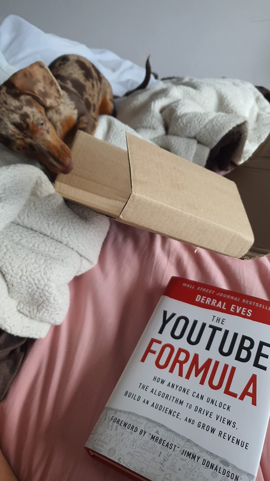 The YouTube Formula: How Anyone Can Unlock the Algorithm to Drive Views ...