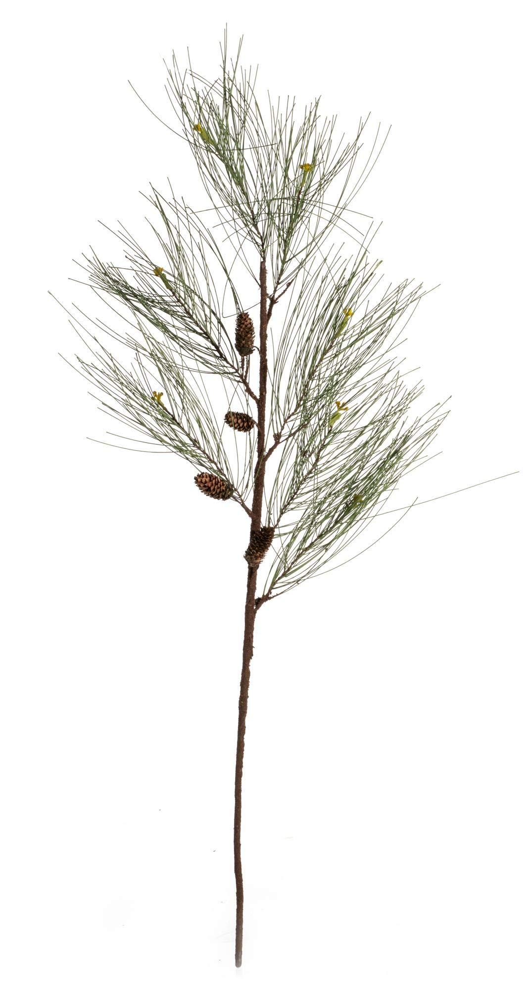 Amazon.com: CWI Gifts 28" Long Needle Pine Spray, Green : Home & Kitchen