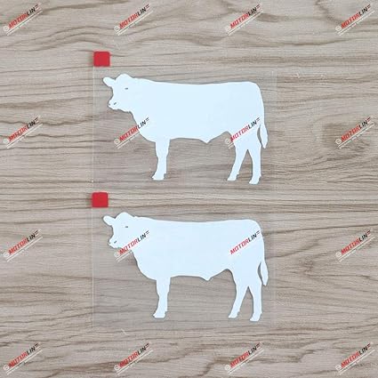 Amazon.com - 2X White 4'' Angus Cattle Decal Sticker Bull Cow Car Vinyl