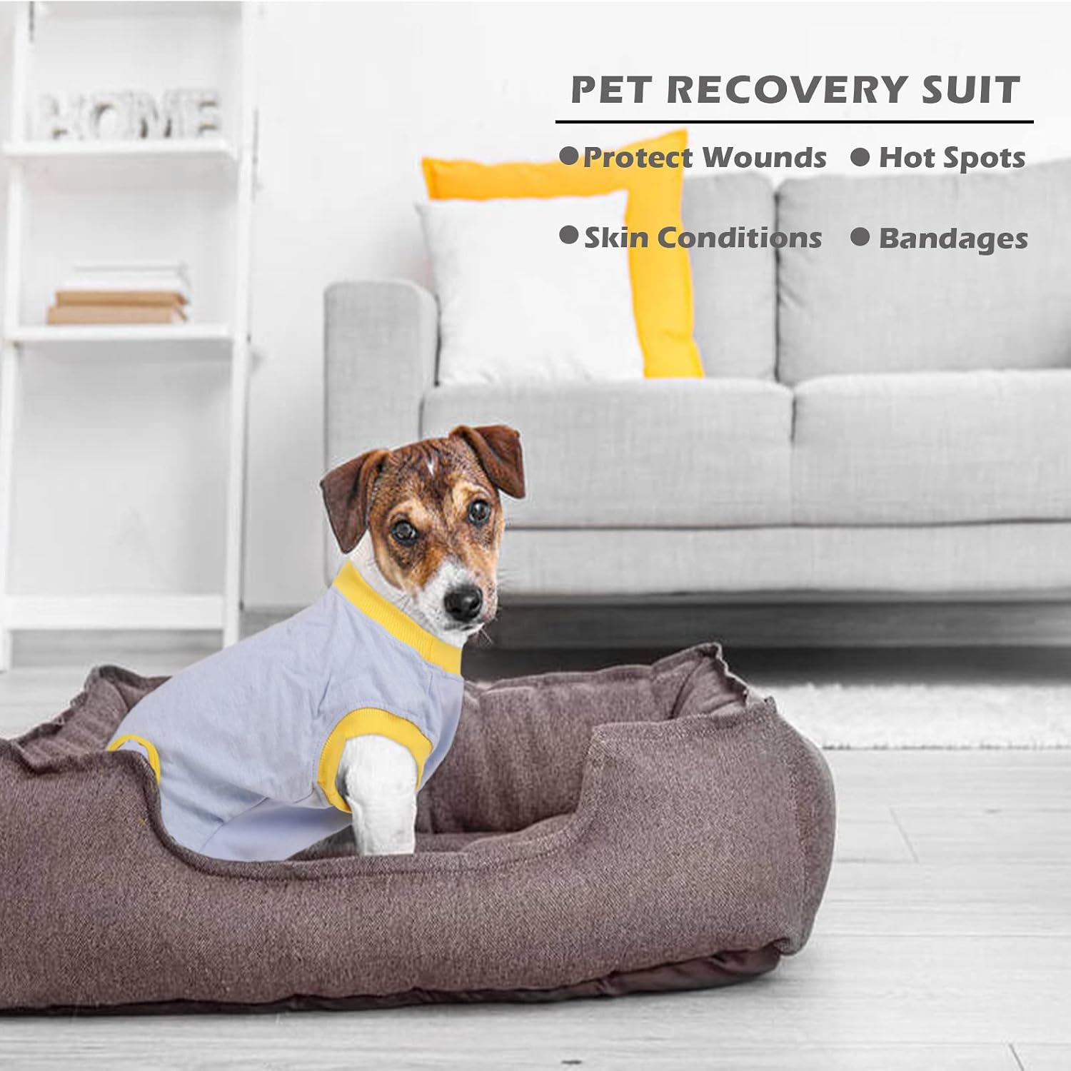 Dog Recovery Suit, Abdominal Wound Protector Puppy Medical Surgical ...