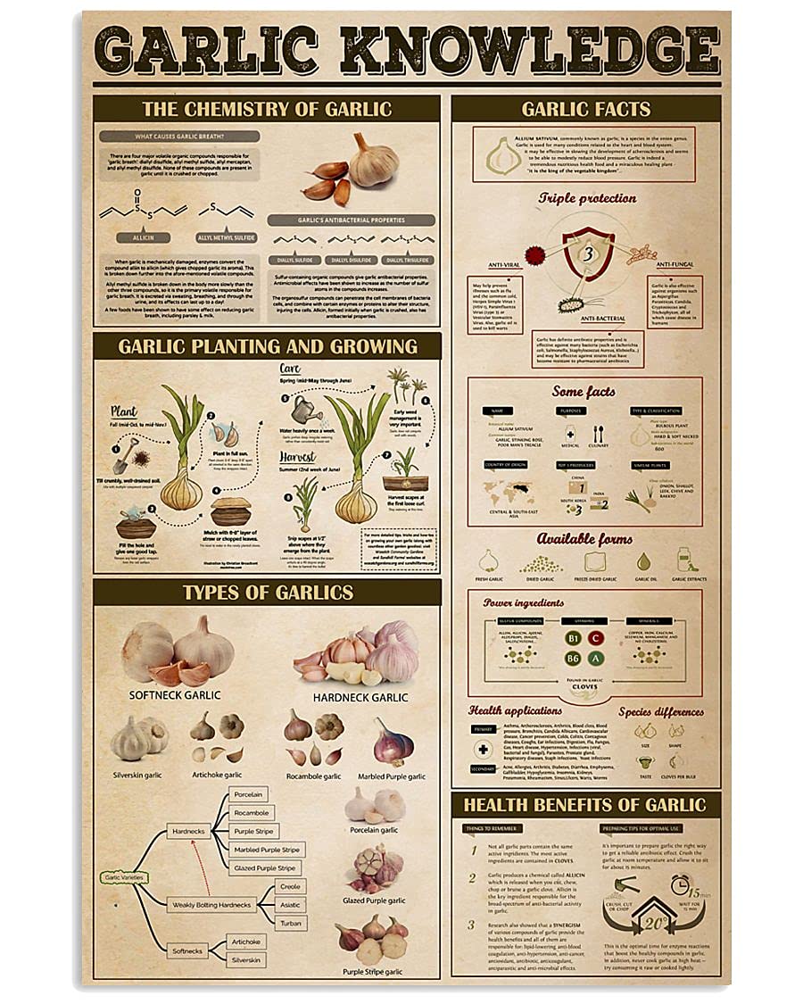 Amazon.com : Garlic Knowledge Metal Tin Signs Garlic Infographics Retro ...