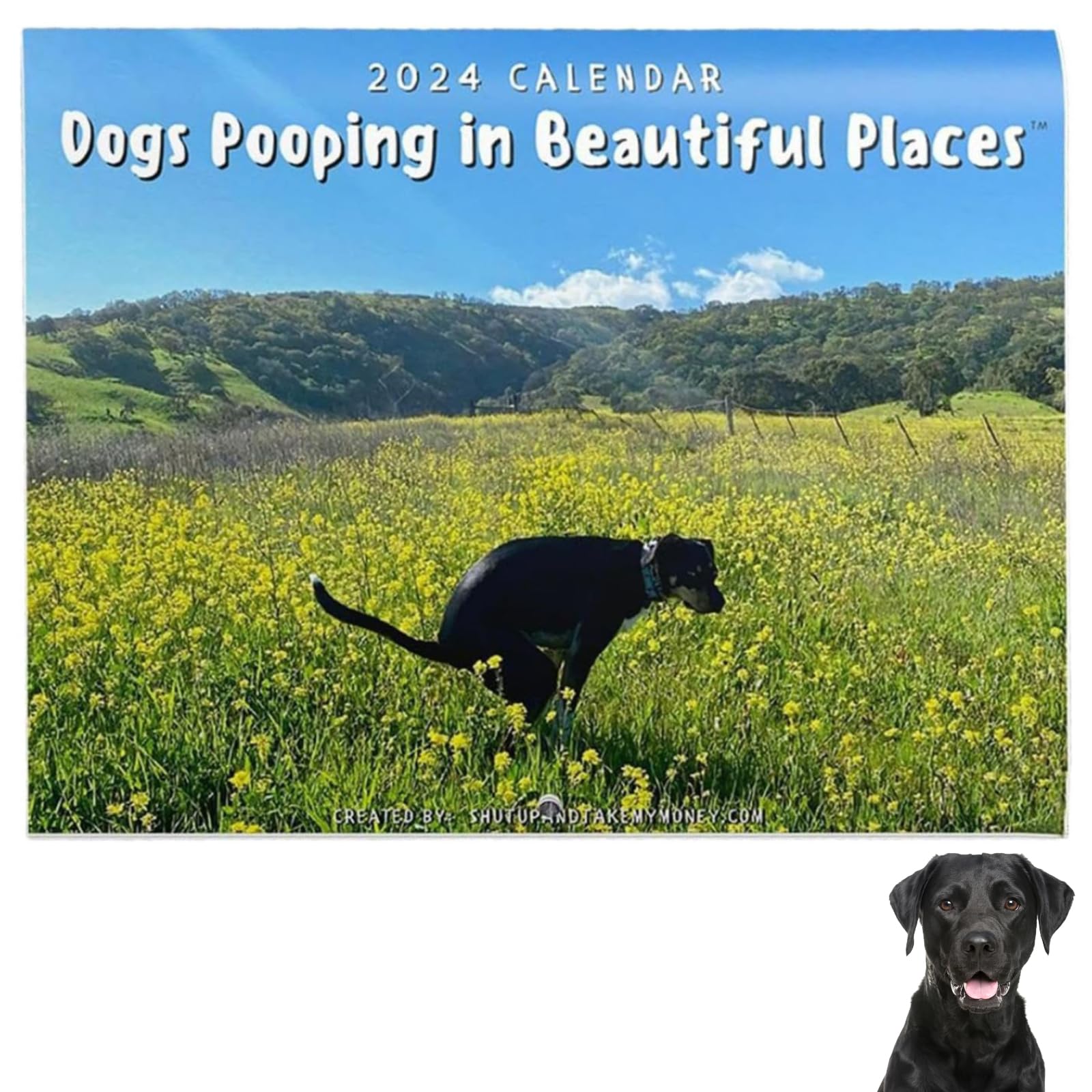 Dogs Pooping In Beautiful Places Calendar 2024 Dog Pooping Calendar ...