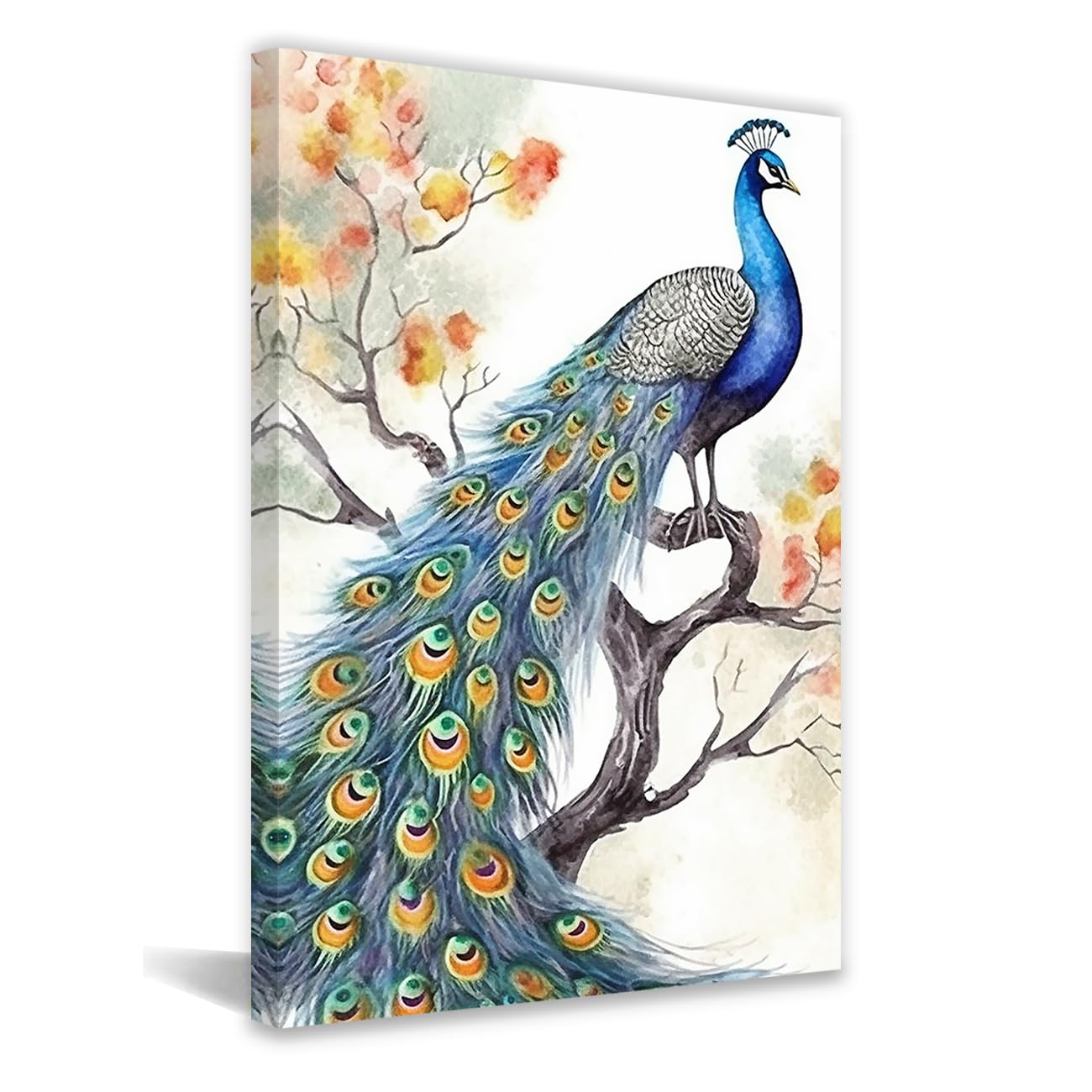 Dibujo Abstracto De Pavo Real